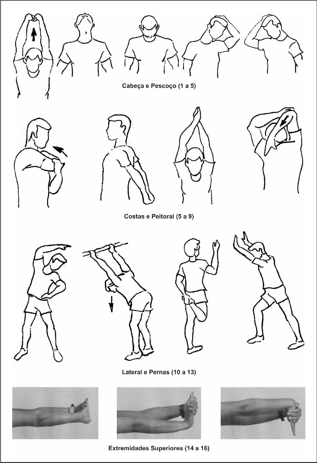 O alongamento muscular no cotidiano do performer musical: estudos ...